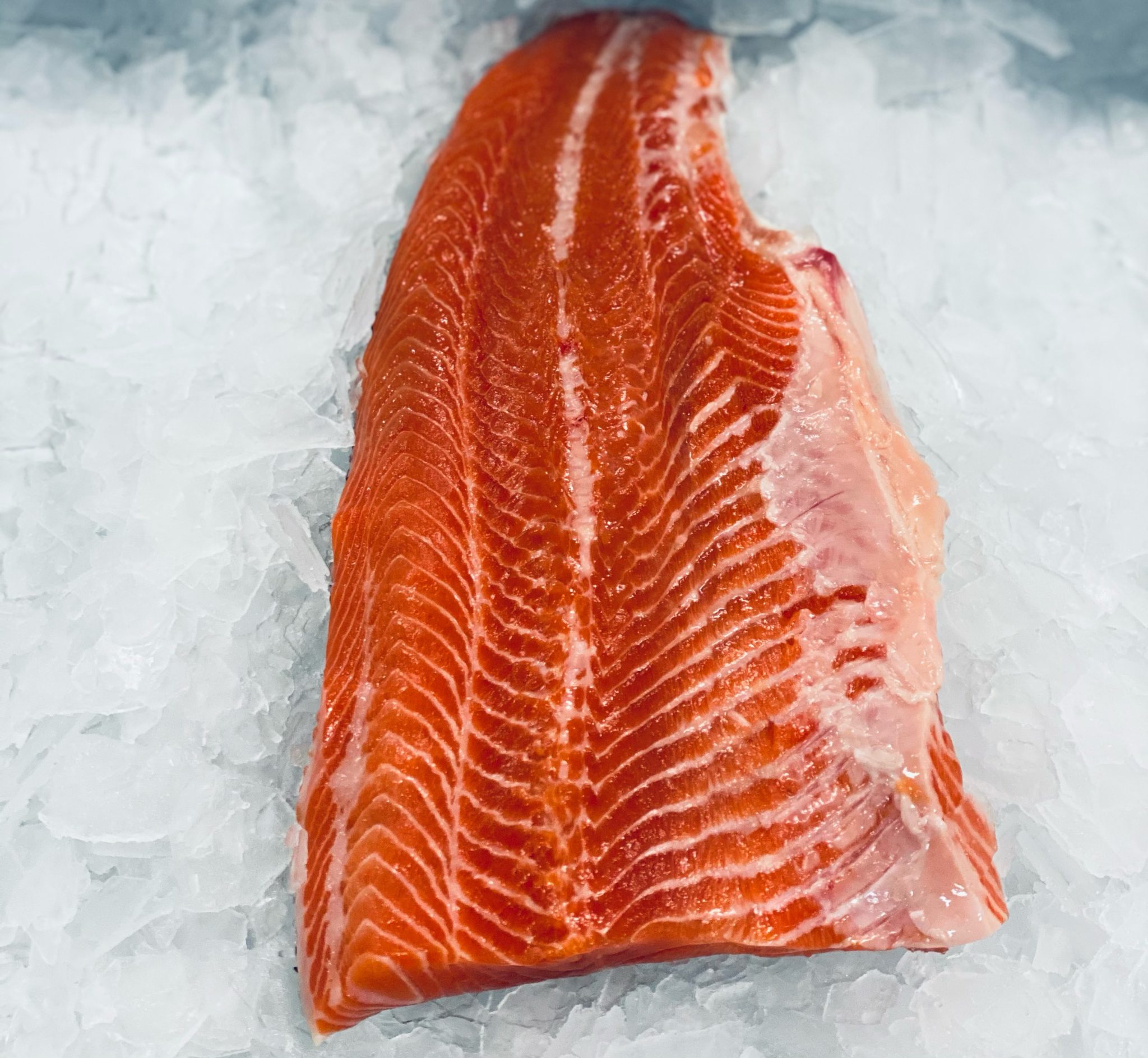 Steelhead Trout, Kames, Scotland - Royal Hawaiian Seafood