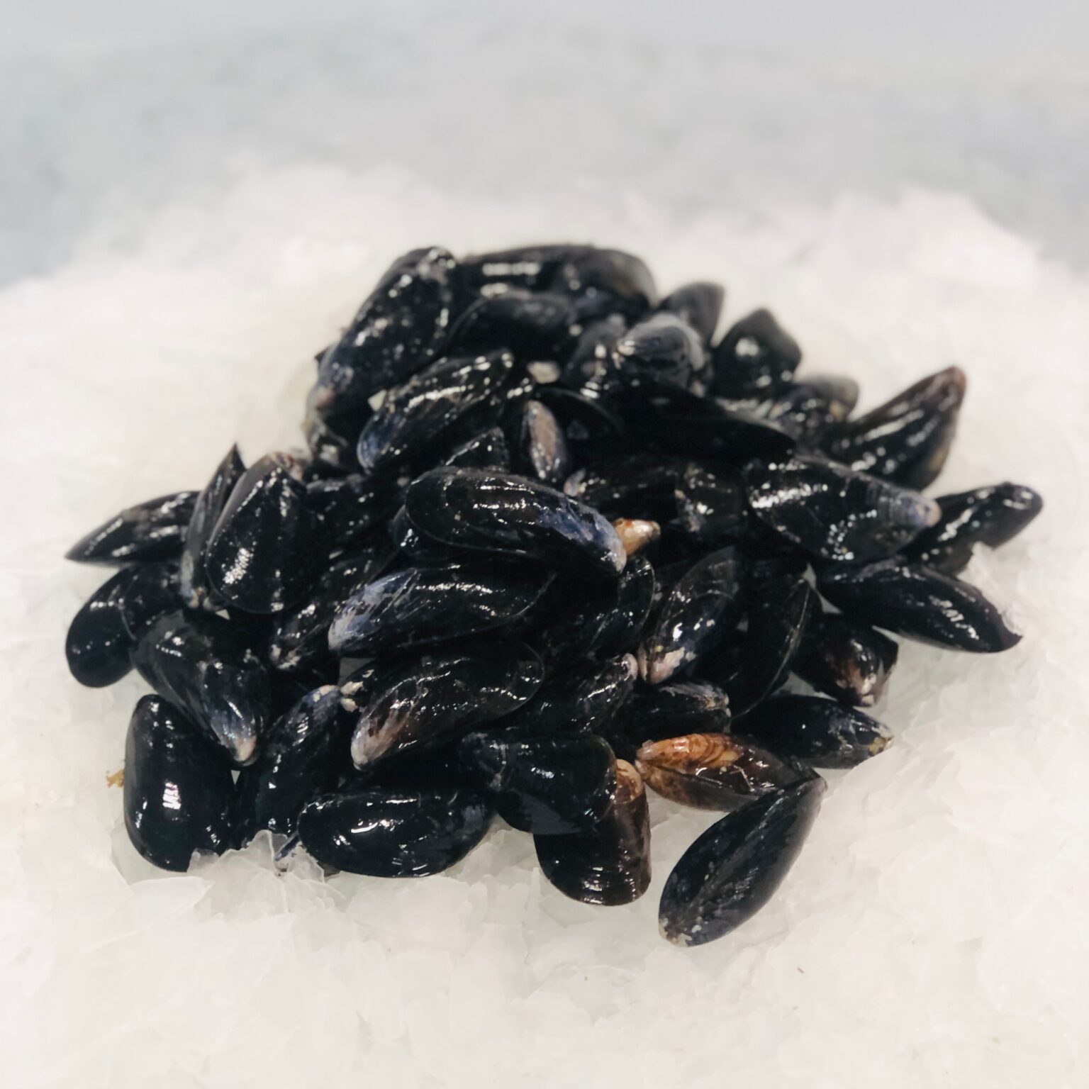 Mussels, PEI (CAN) - Royal Hawaiian Seafood